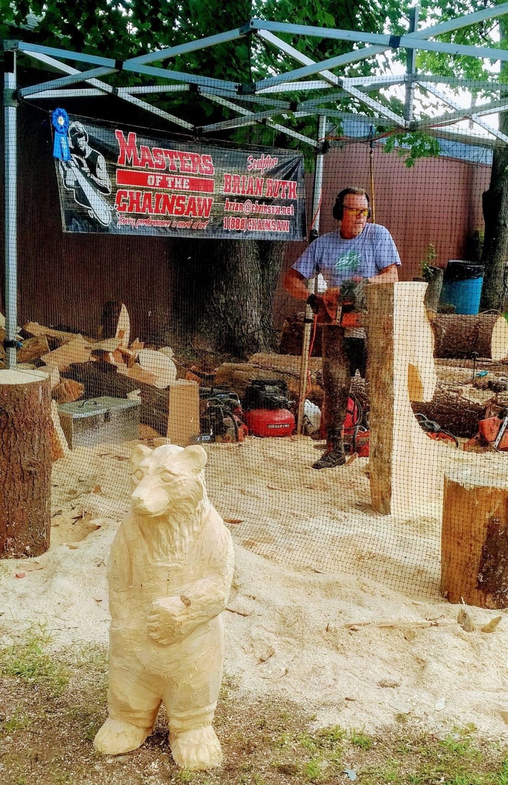 Master of the Chainsaw Brian Ruth - Saratoga County Fair